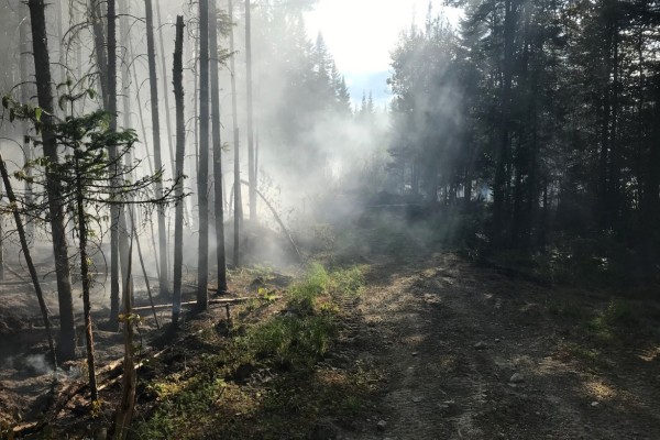 NFFPC.org - Members Area